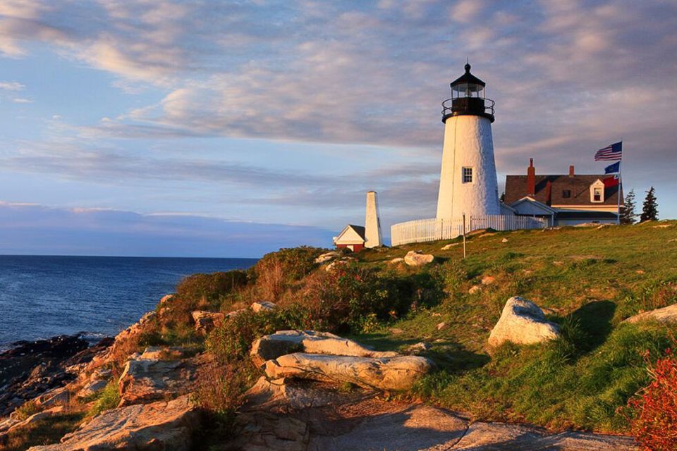 Boothbay Harbor Cruise: Lighthouses, Lobster Haul, and Seals - Who Will Love This Tour?