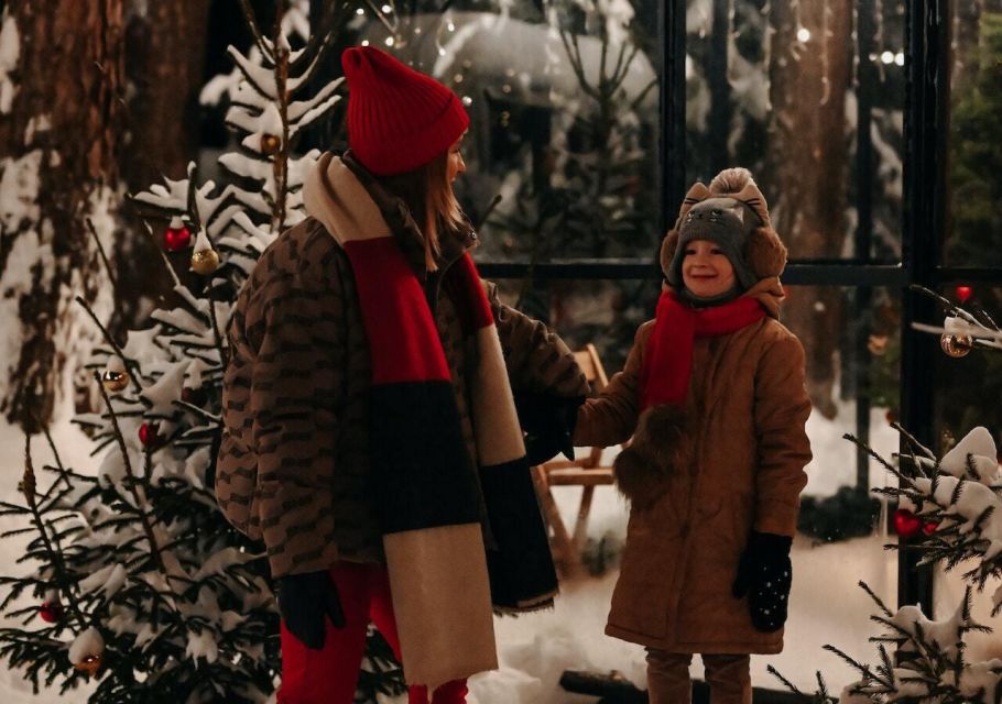 Boston: A Bostonian Christmas Tour - Key Points