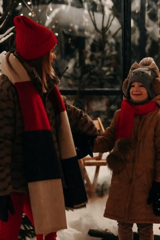 Boston: A Bostonian Christmas Tour - Exploring Boston’s Holiday Charm: What You Can Expect