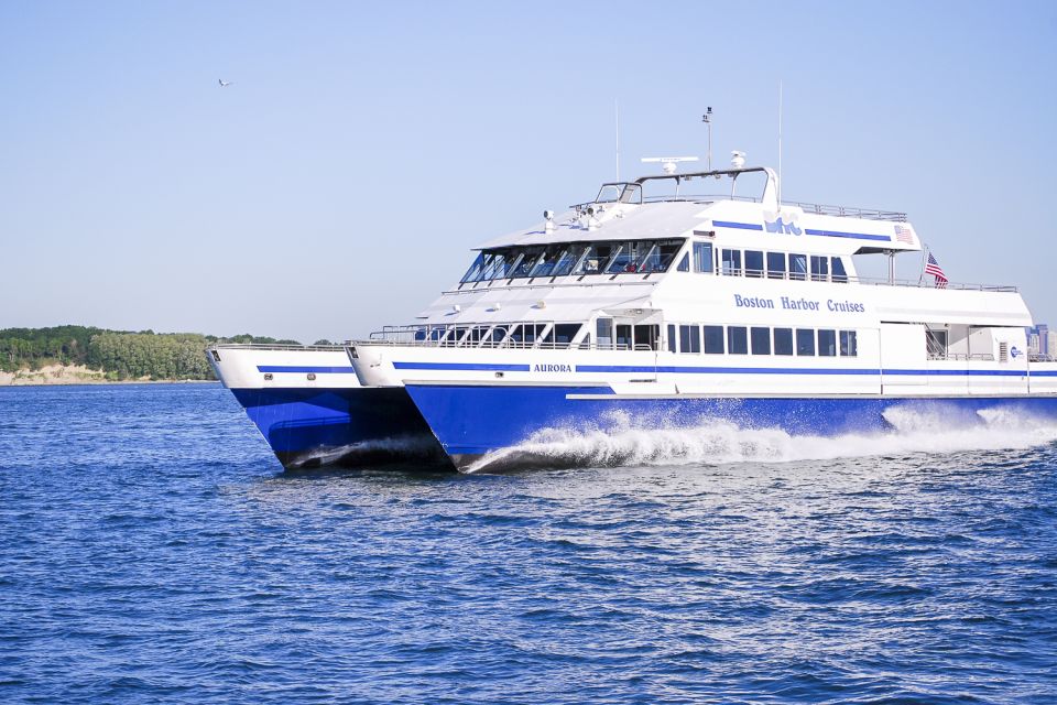 Boston: City Cruises Whale Watching Cruise - An In-Depth Look at the Boston Whale Watching Experience