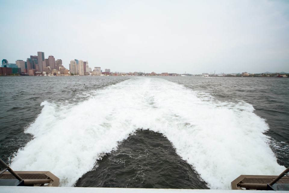 Boston: City Cruises Whale Watching Cruise - Who Is This Tour Best For?