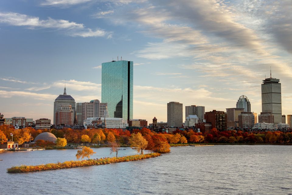 Boston Harbor Fall Foliage Weekend Brunch Cruise - The Scenic Highlights and Wildlife Encounters