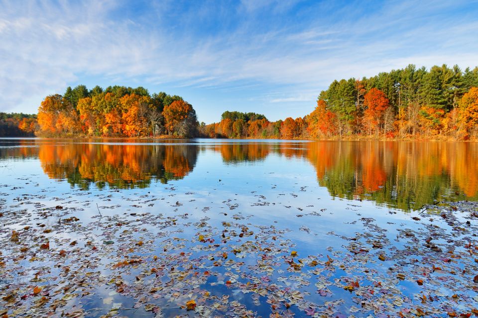 Boston Harbor Fall Foliage Weekend Brunch Cruise - Reviews and Real Guest Insights