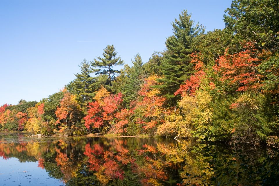 Boston Harbor Fall Foliage Weekend Brunch Cruise - Who This Experience Is Perfect For
