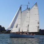 Boston Harbor Sunset Sail Tour - Authentic Insights from Reviewers