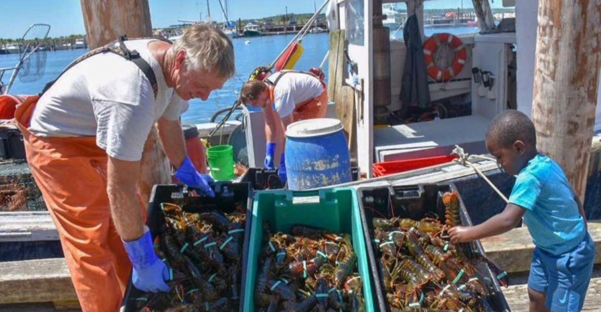 Boston: Kennebunkport Day Trip with Optional Lobster Tour - The Itinerary Breakdown