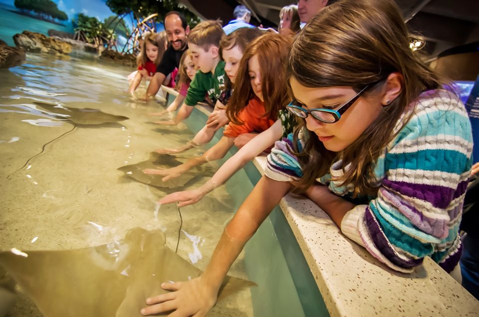 Boston: New England Aquarium Skip-the-Line Entry Ticket - Practical Details and Tips