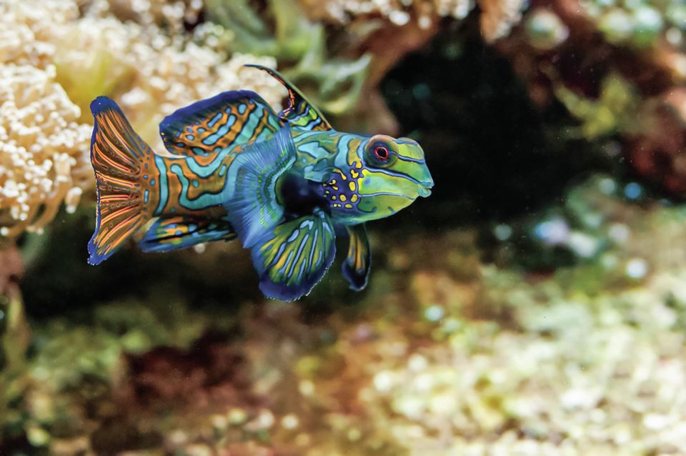 Boston: New England Aquarium Skip-the-Line Entry Ticket - Authentic Insights from Visitors
