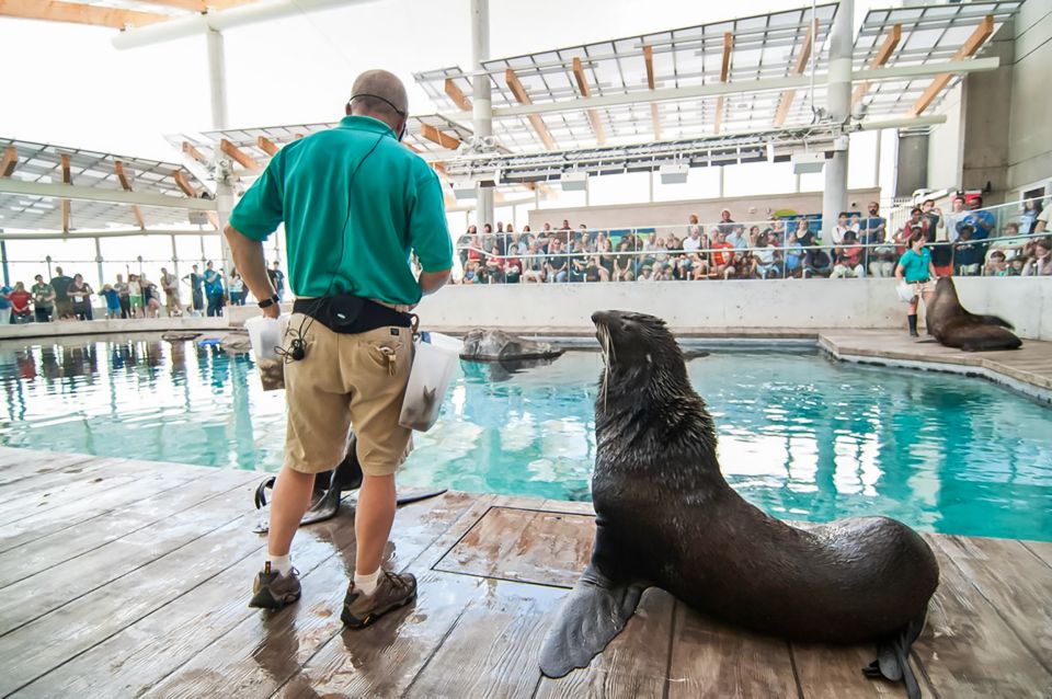 Boston: New England Aquarium Skip-the-Line Entry Ticket - Who Should Visit?