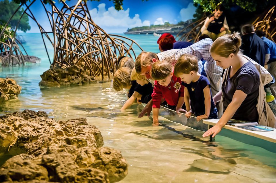 Boston: New England Aquarium Skip-the-Line Entry Ticket - Final Thoughts
