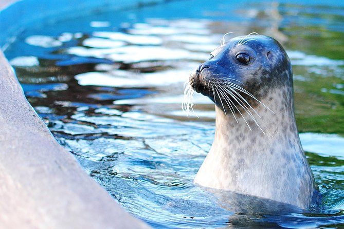 Boston Pass: 40+ Things To Do - Includes Franklin Park Zoo - An In-Depth Look at the Boston Pass Experience