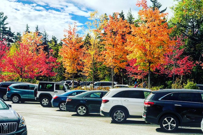 Boston to New Hampshire Fall Foliage White Mountains Day Trip - Who Would Love This Tour?