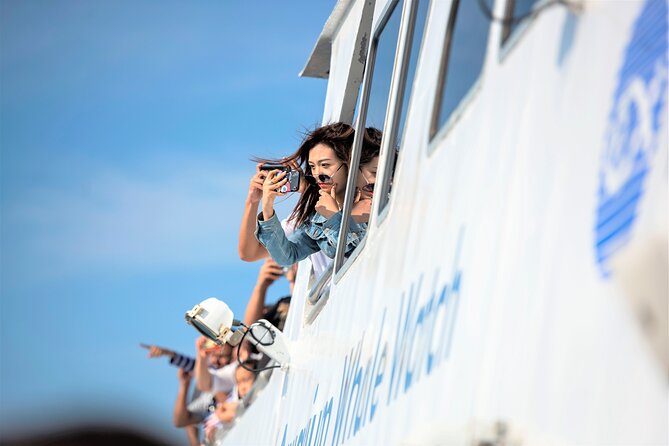 Boston Whale Watching Cruise by High-Speed Catamaran - Final Thoughts