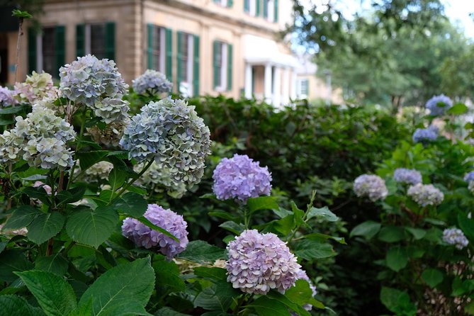 Botanical Tour (by Walk With Me Savannah Tours) - An In-Depth Look at the Savannah Botanical Tour