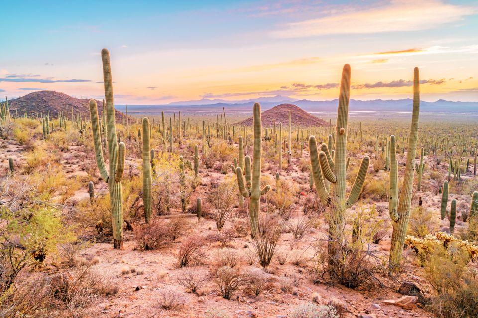 Box Canyon and Pinal Mountains Half-Day ATV Tour - An Exciting Look at the Box Canyon and Pinal Mountains Half-Day ATV Tour