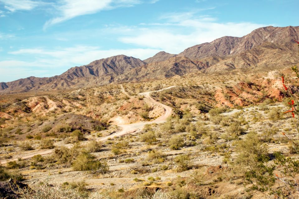 Box Canyon and Pinal Mountains Half-Day ATV Tour - An In-Depth Look at the Tour Experience