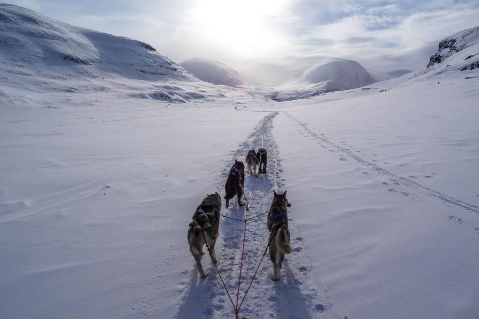 Bozeman: 6 Day Yellowstone Winter Wonderland Tour - FAQs