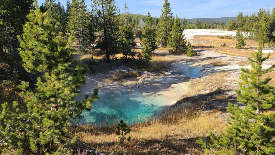 Bozeman: Yellowstone & Grand Teton National Park with Hotel - The Itinerary Breakdown: What to Expect Each Day