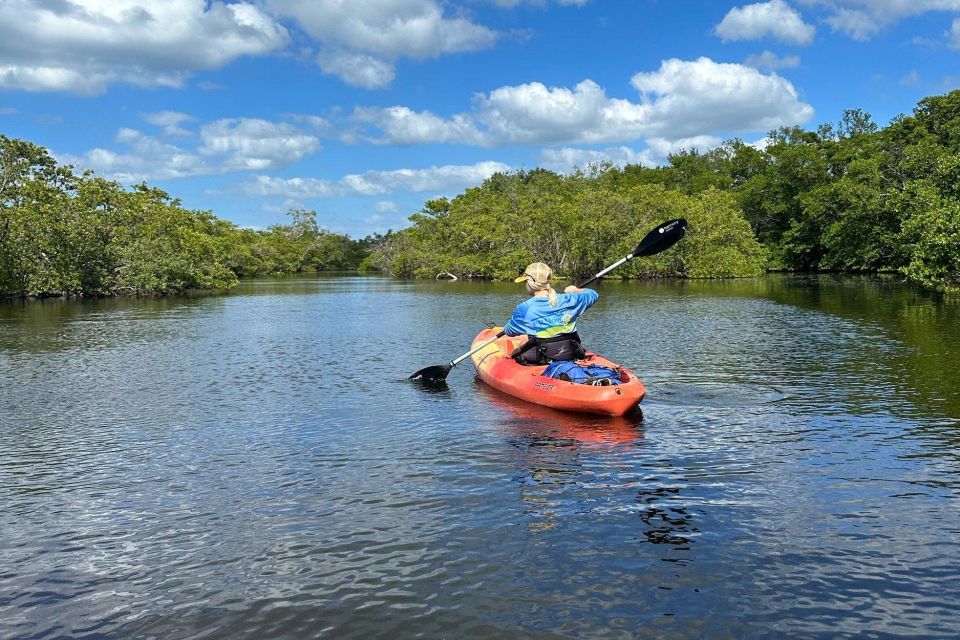 Bradenton: Anna Maria Island Guided Kayaking Manatee Tour - Introduction: A Natural Encounter with Florida’s Gentle Giants