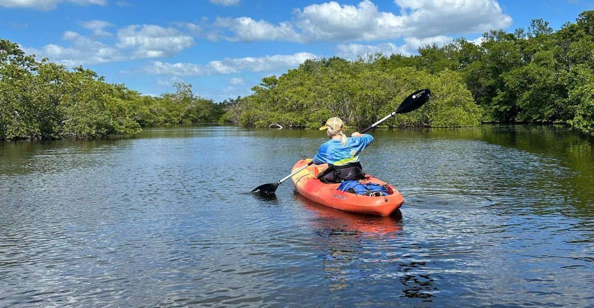 Bradenton: Anna Maria Island Guided Kayaking Manatee Tour - Authentic Insights from Reviewers