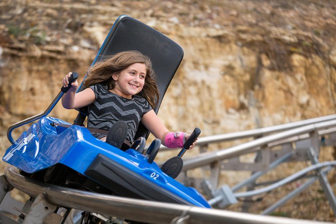 Branson Alpine Mountain Coaster Ticket - Who Will Love the Branson Alpine Mountain Coaster?
