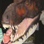 Branson Dinosaur Museum Admission Ticket - Visiting Details and Practical Tips