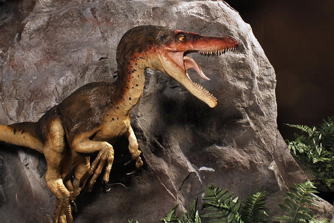 Branson Dinosaur Museum Admission Ticket - Final Words