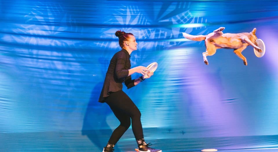 Branson: Pets and Giggles Kid's Comedy Show - Authentic Experiences and Guest Insights