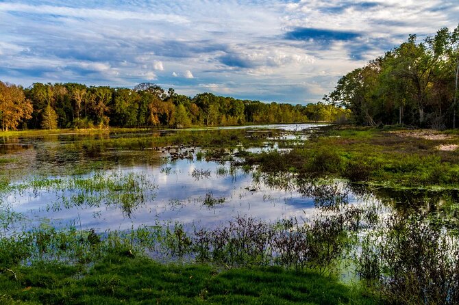 Brazos Bend Wildlife and Nature Tour - In-Depth Look at the Tour Experience