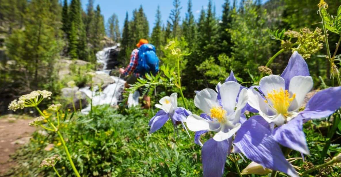 Breckenridge, CO: Half-Day Guided Scenic Hike - Who Is This Tour Best For?