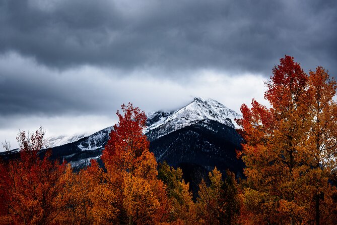 Breckenridge & Continental Divide - Private Tour - What Makes This Tour Stand Out?  