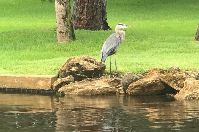 Brevard County Tours, dolphin and manatee tours in Palm Bay, FL - The Weather Factor and Cancellation Policy