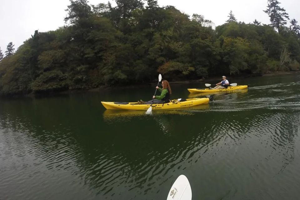 Brookings: Pacific Ocean Kayak Tour - Brookings: Pacific Ocean Kayak Tour