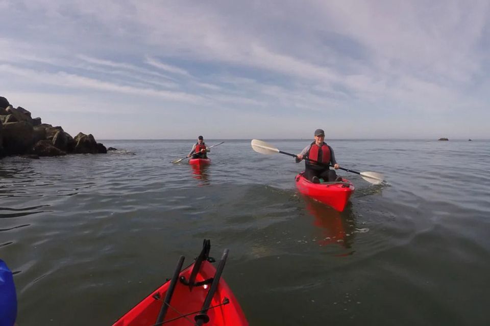 Brookings: Pacific Ocean Kayak Tour - An In-Depth Look at the Kayak Tour Experience