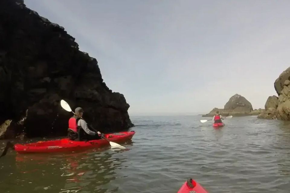 Brookings: Pacific Ocean Kayak Tour - Practical Details and Considerations