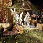Brooklyn Dyker Heights Christmas Wonderland Bus Tour - Guided Experience: Experts on the Move