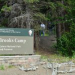 Brooks Falls Katmai Bear Viewing in a Float Plane - Final Thoughts