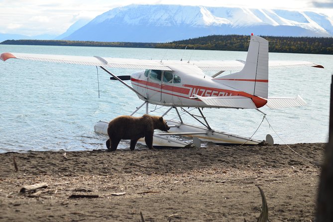 Brooks Falls Katmai Bear Viewing in a Float Plane - FAQ