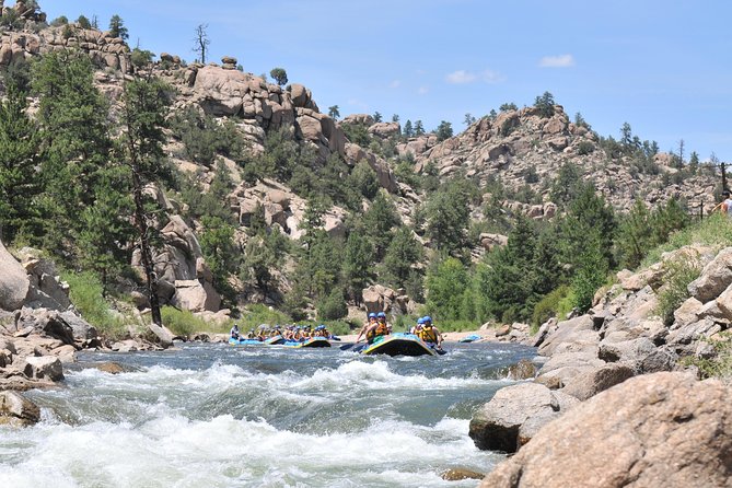Browns Canyon Intermediate Rafting Trip Half Day - The Scenic & Wildlife Highlights