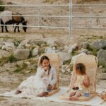 Brunch with Mini Rescue Burros in Southern California - Why This Tour Works