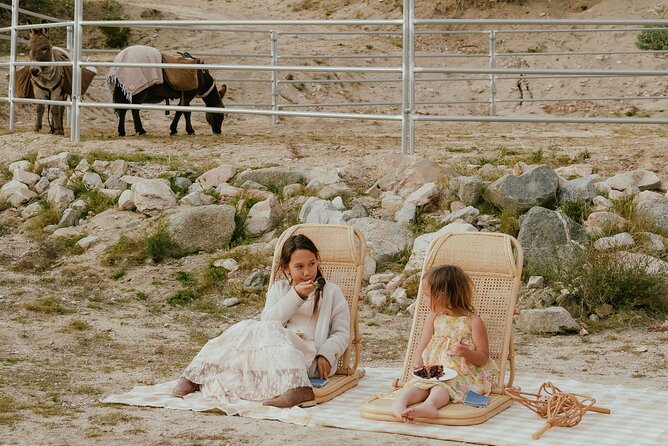 Brunch with Mini Rescue Burros in Southern California - Why This Tour Works