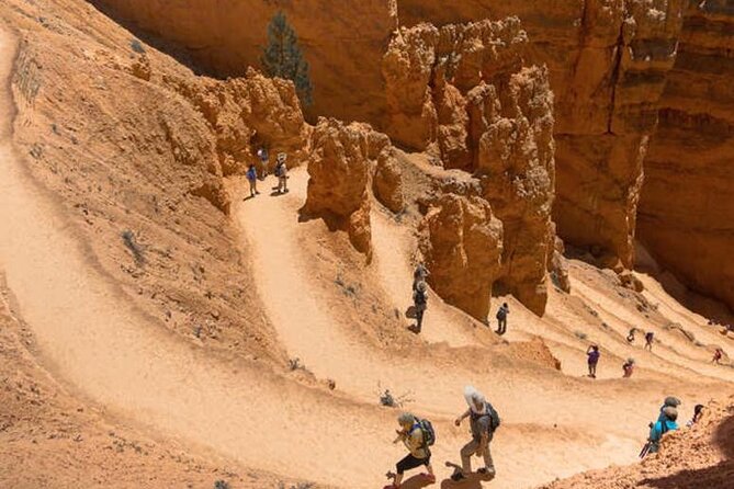 Bryce Canyon and Zion National Park Tour - The Itinerary in Detail