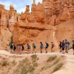 Bryce Canyon and Zion National Park Tour - Value and Experience Analysis