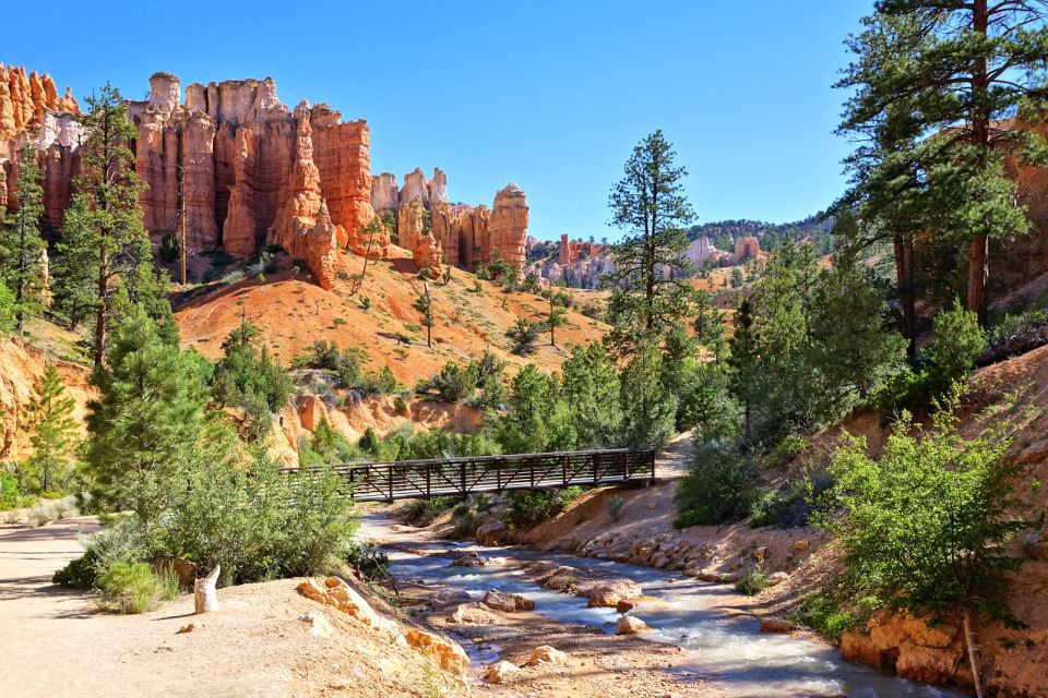 Bryce Canyon City Guided ATV/RZR Tour - Authentic Experiences from Real Reviewers