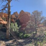 Bryce Canyon City: Horseback Riding Tour in Red Canyon - The Practicalities: What’s Included and What You Need to Know