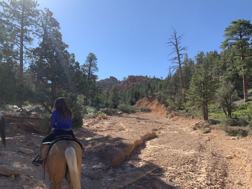 Bryce Canyon City: Horseback Riding Tour in Red Canyon - Who Will Love This Experience?