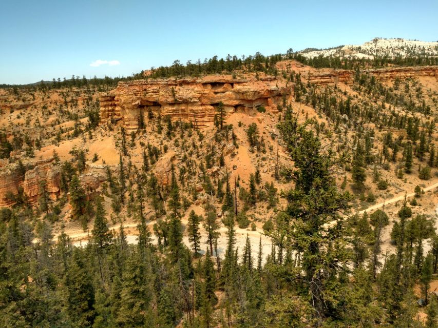 Bryce Canyon City: Red Canyon Horse Riding Day Trip w/ Lunch - An In-Depth Look at the Red Canyon Horse Riding Day Trip