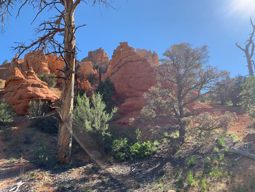 Bryce Canyon City: Red Canyon Horse Riding Day Trip w/ Lunch - Final Thoughts: Who Will Love This Tour?