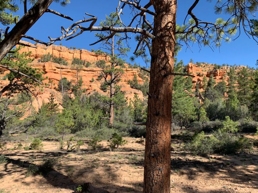 Bryce Canyon City: Red Canyon Horse Riding Day Trip w/ Lunch - FAQ