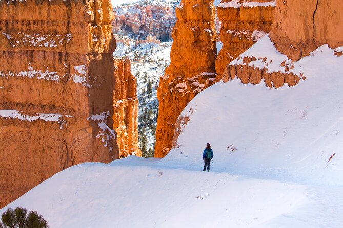 Bryce Canyon Full Day Private Tour and Hike - Who Is This Tour Best For?